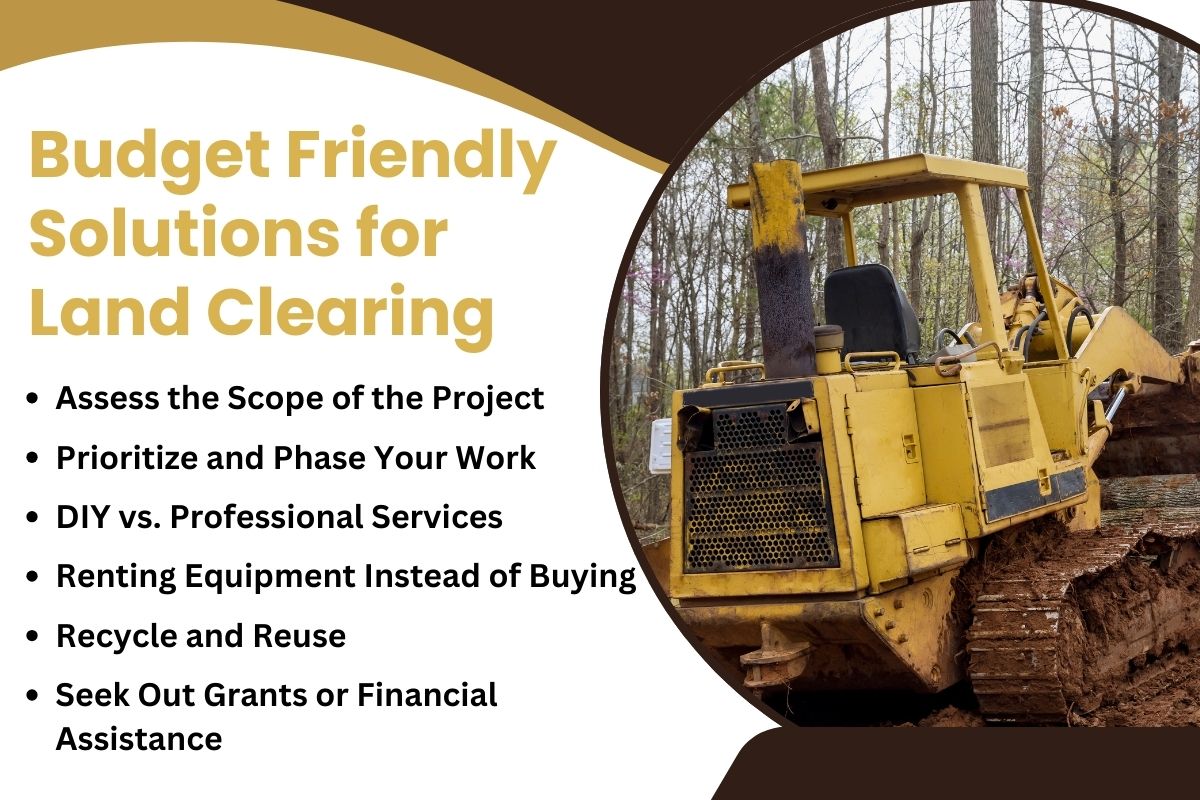 Budget-Friendly Solutions for Land Clearing: How to Do More with Less ...