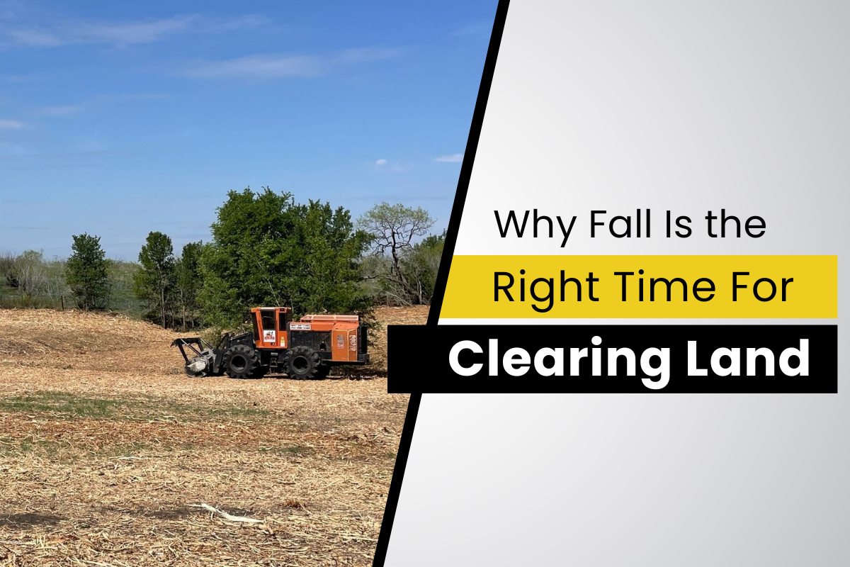 Why Fall Is the Ideal Season for Efficient Land Clearing and Site ...