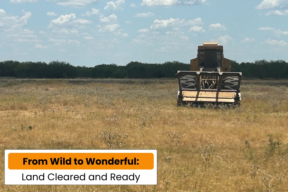 12.88 Acres Transformed: Land Cleared and Ready for New Development