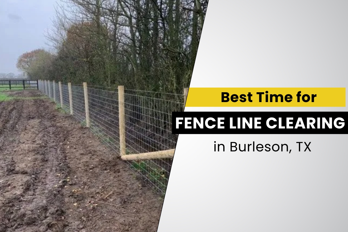 When Is the Best Time to Clear a Fence Line in Burleson, TX?